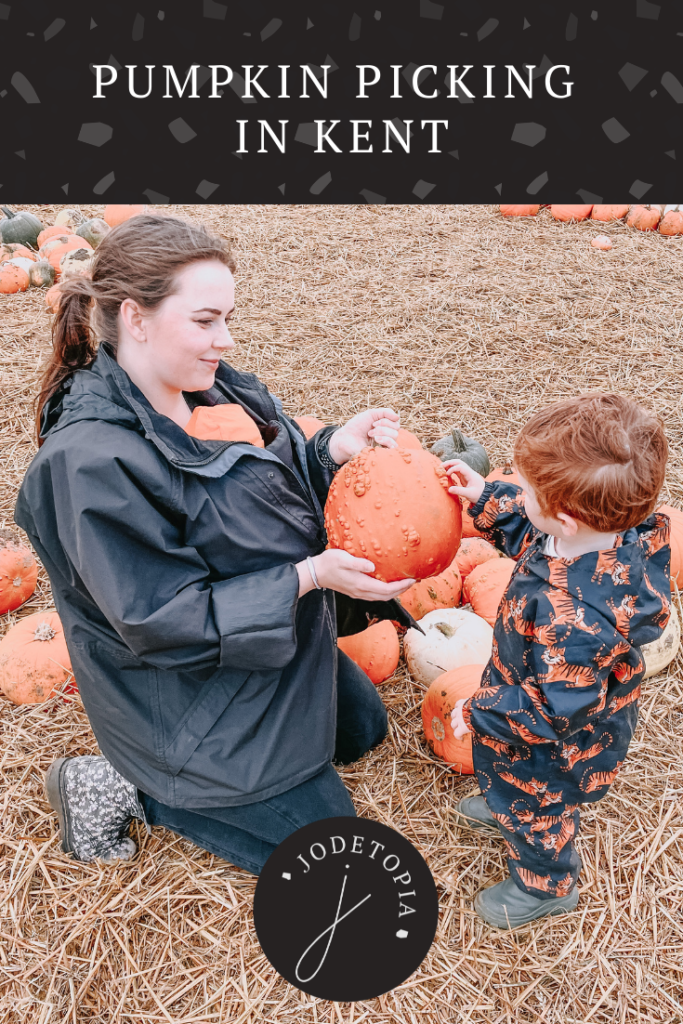 Pumpkin Picking in Kent: Stanhill Farm