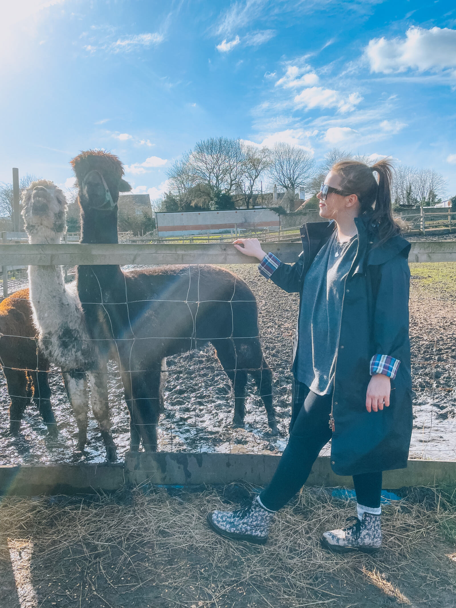George Mead Memorial Stables in Welling